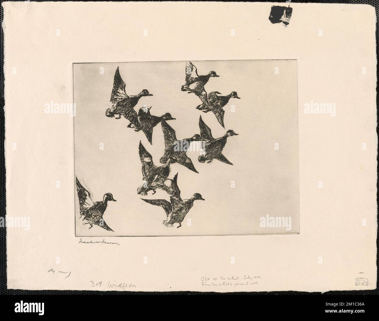 Widgeon , Ducks, Flying, Anas. Frank W. Benson (1862-1951). Prints and ...