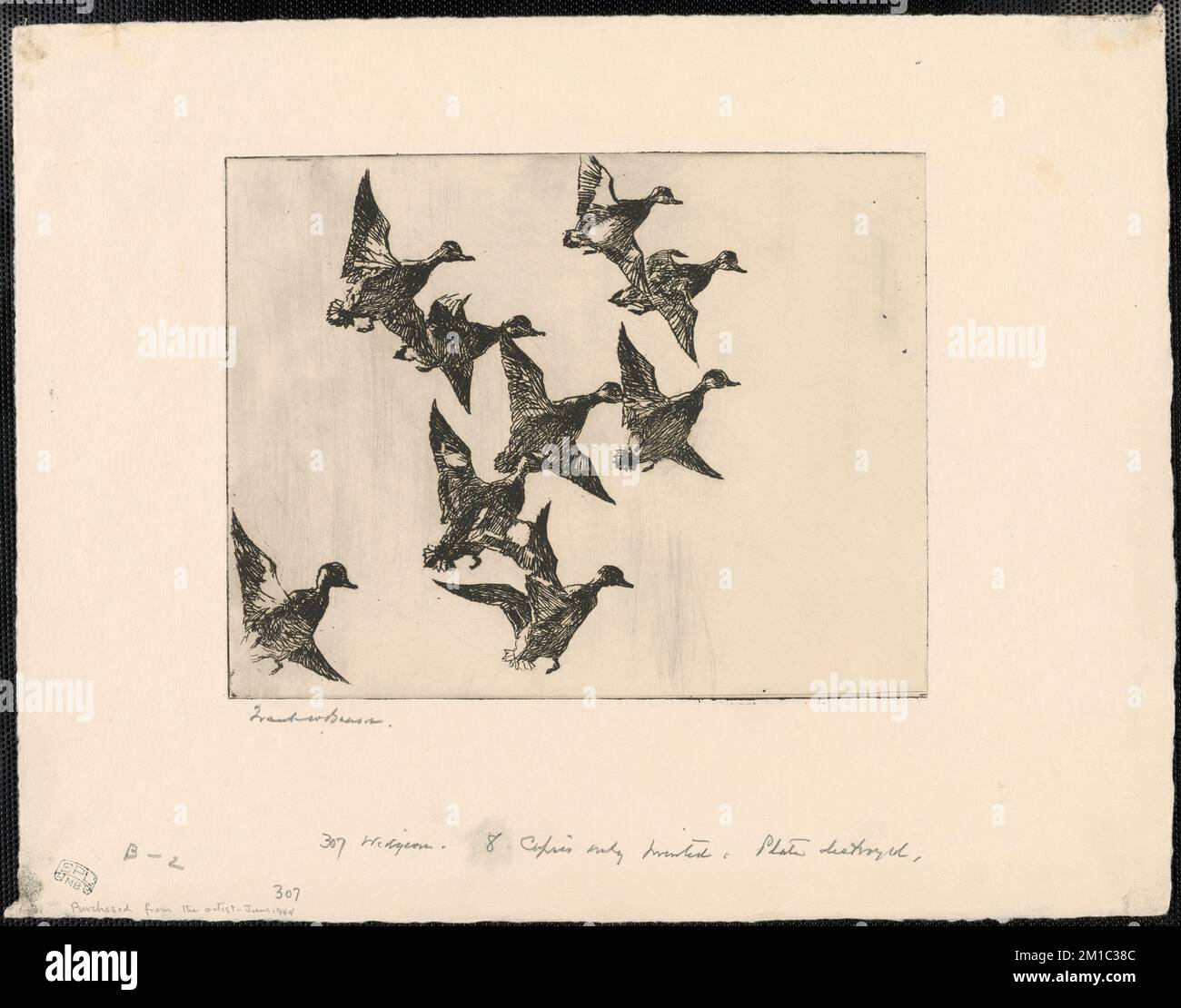 Widgeon , Ducks, Flying, Anas. Frank W. Benson (1862-1951). Prints and ...