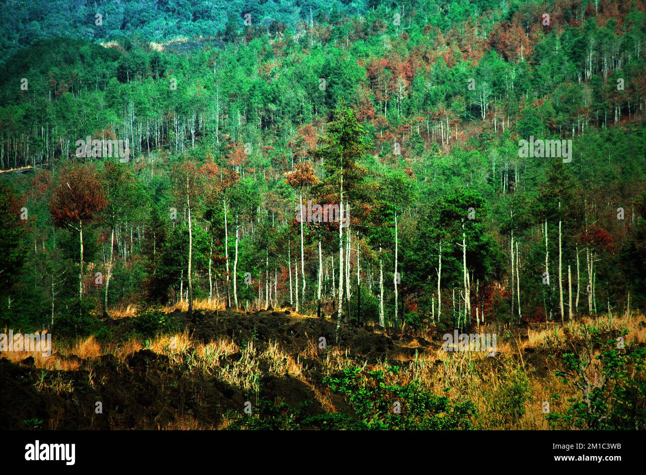Mount guntur hi-res stock photography and images - Alamy