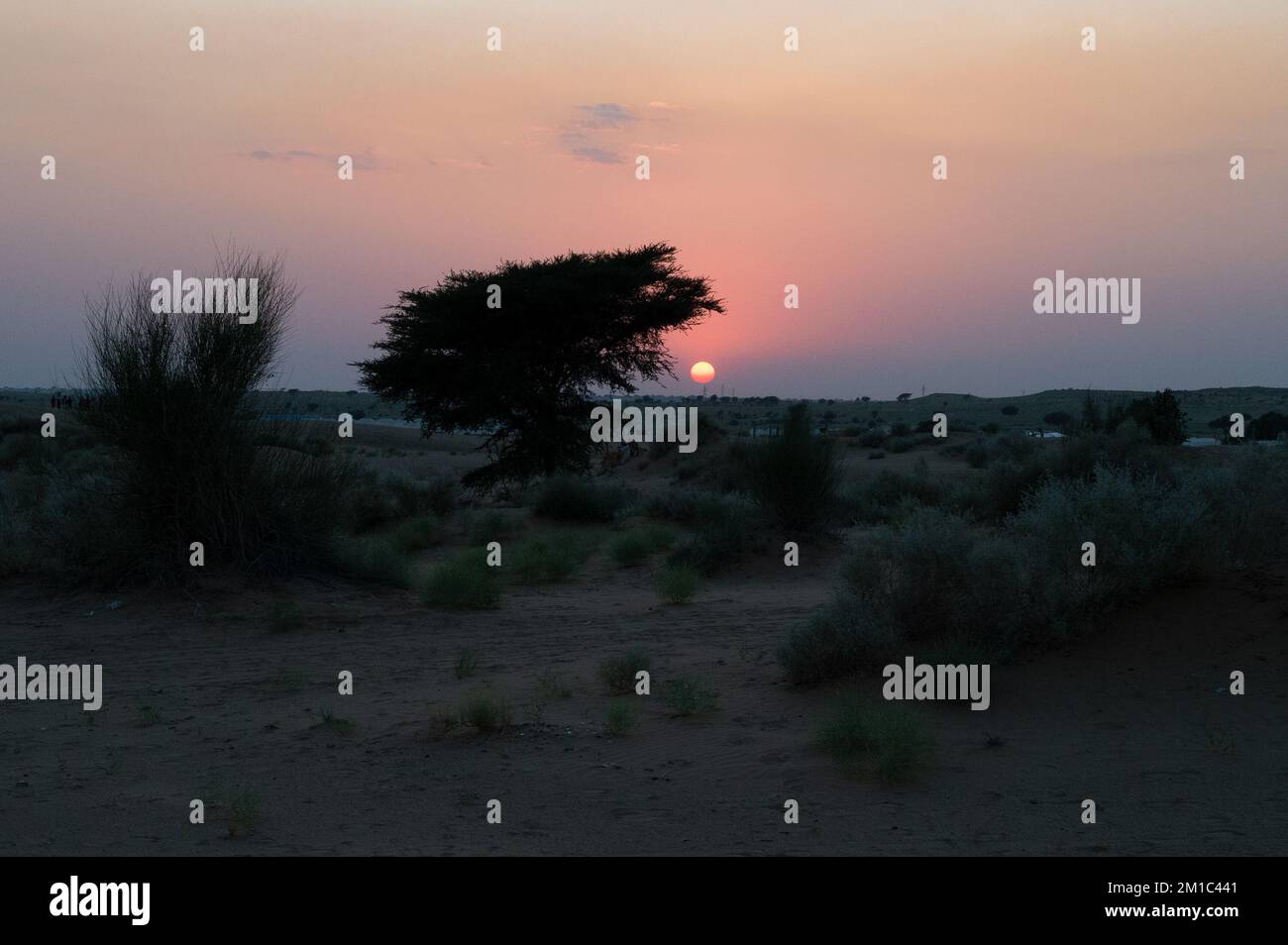 Sun setting at the horizon of Thar desert, Rajasthan, India Stock Photo ...