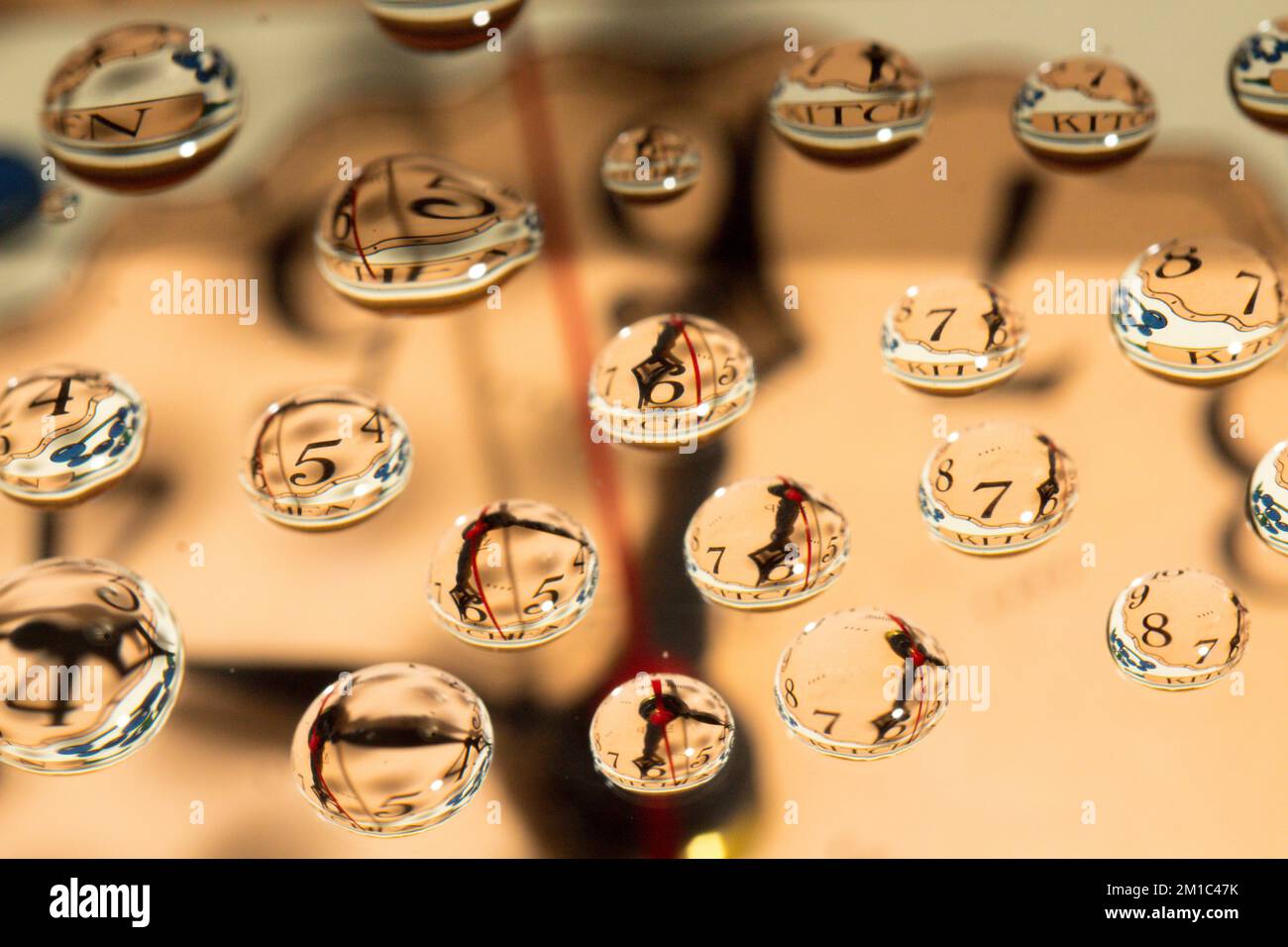 Orbicular in shape hi-res stock photography and images - Alamy