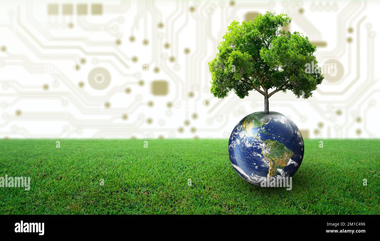 Tree growing on Earth with green grass. Digital and Technology ...