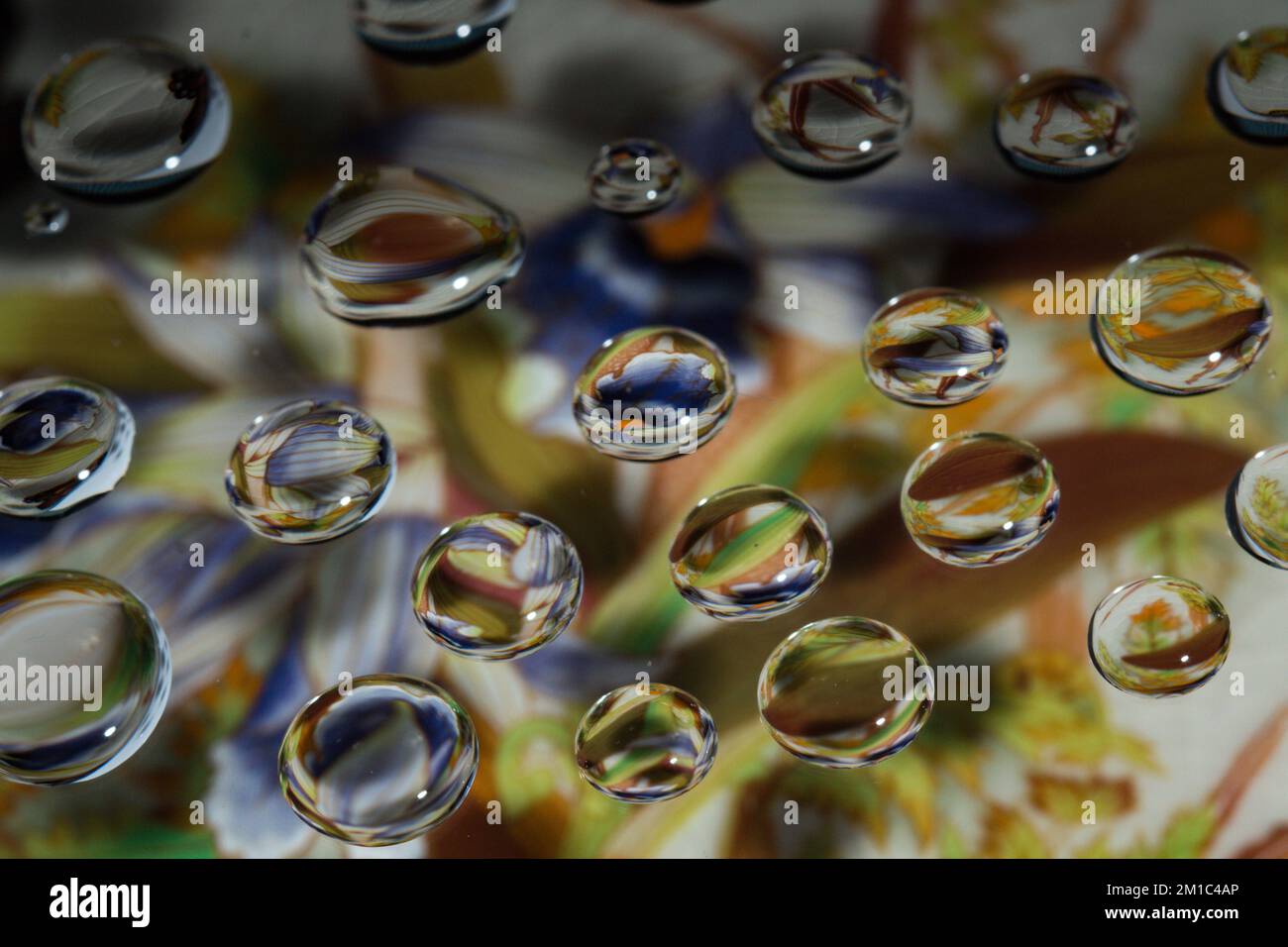 Orbicular in shape hi-res stock photography and images - Alamy