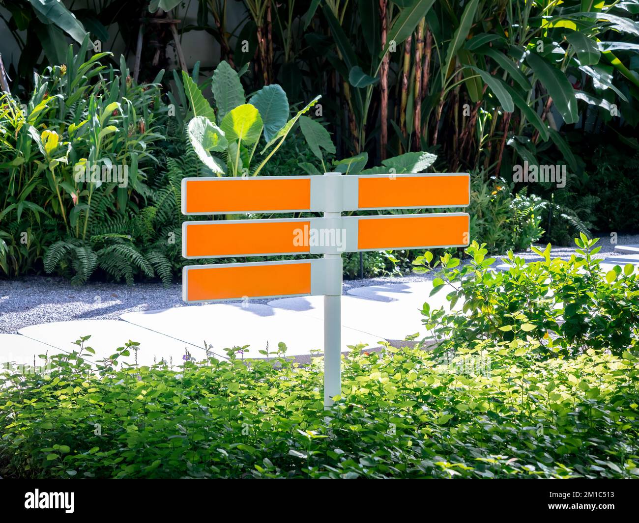 Empty space background on five blank orange pastel color of direction ...