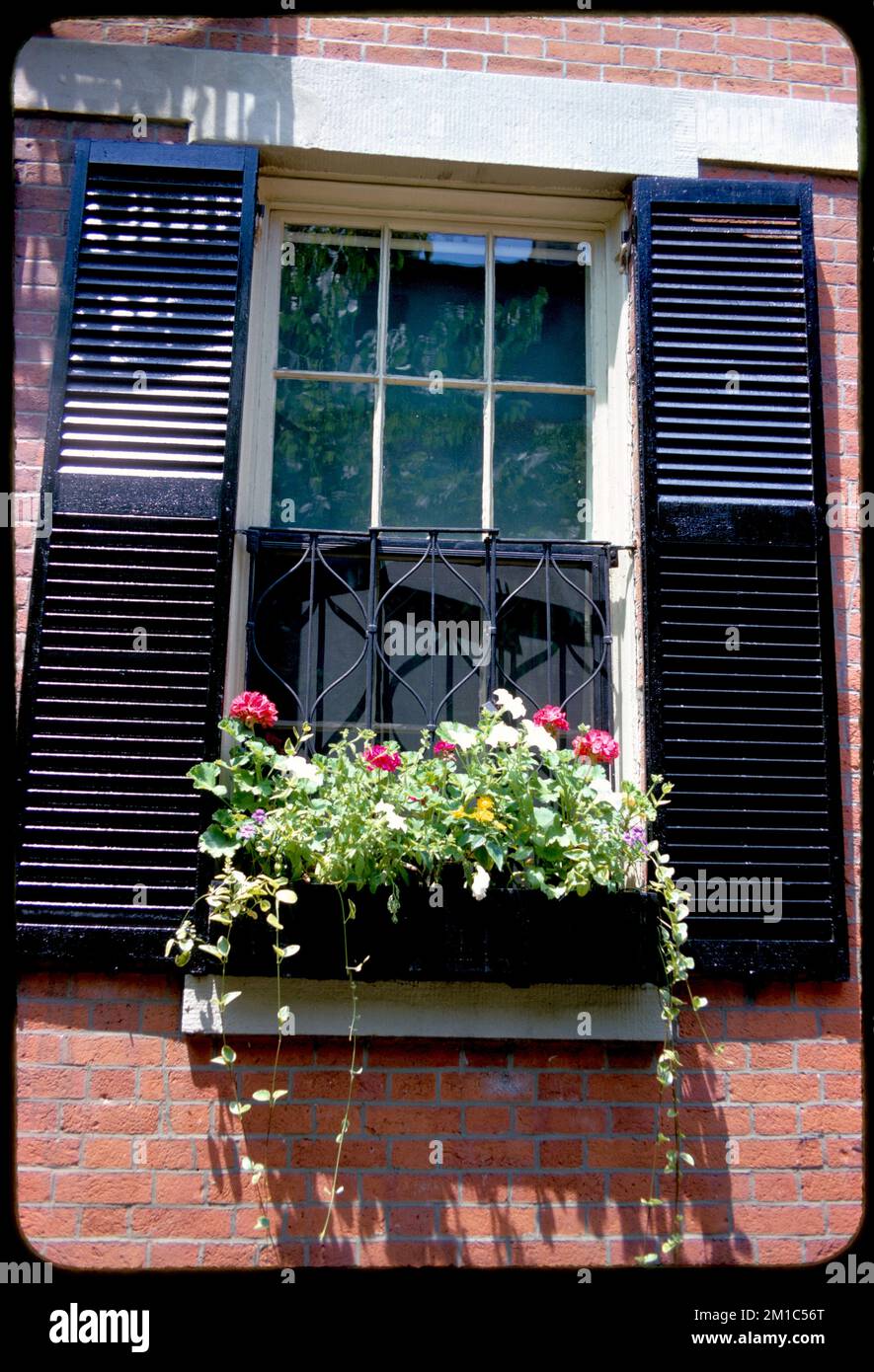 Window, Beacon Hill , Windows. Edmund L. Mitchell Collection Stock ...
