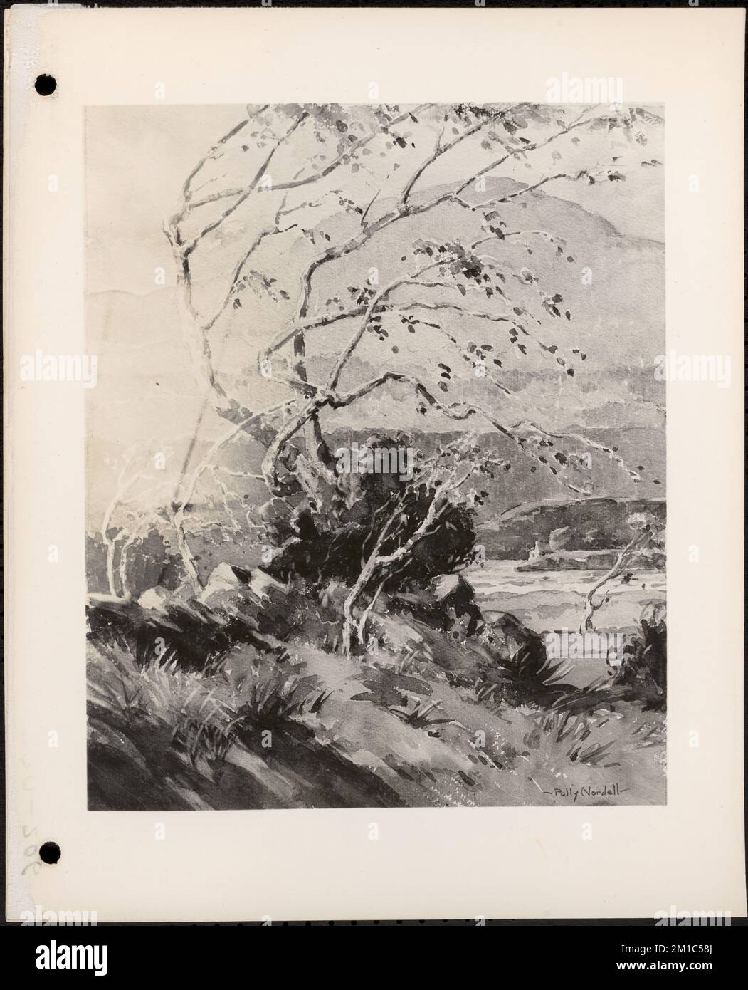 Windy day , Trees, Winds. The Massachusetts WPA Federal Art Project ...