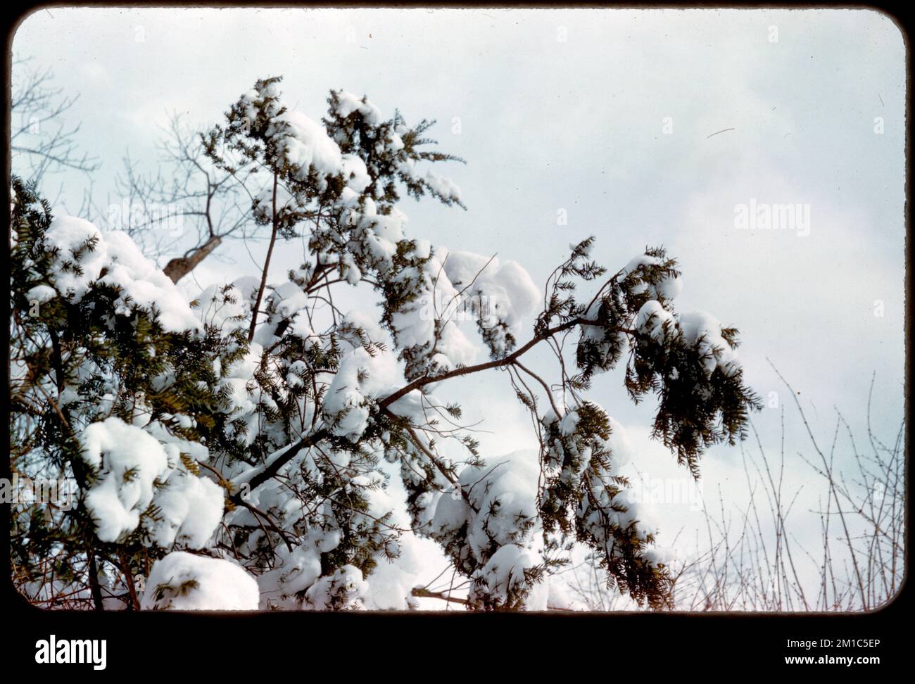 Harvard university campus storm hi-res stock photography and images - Alamy
