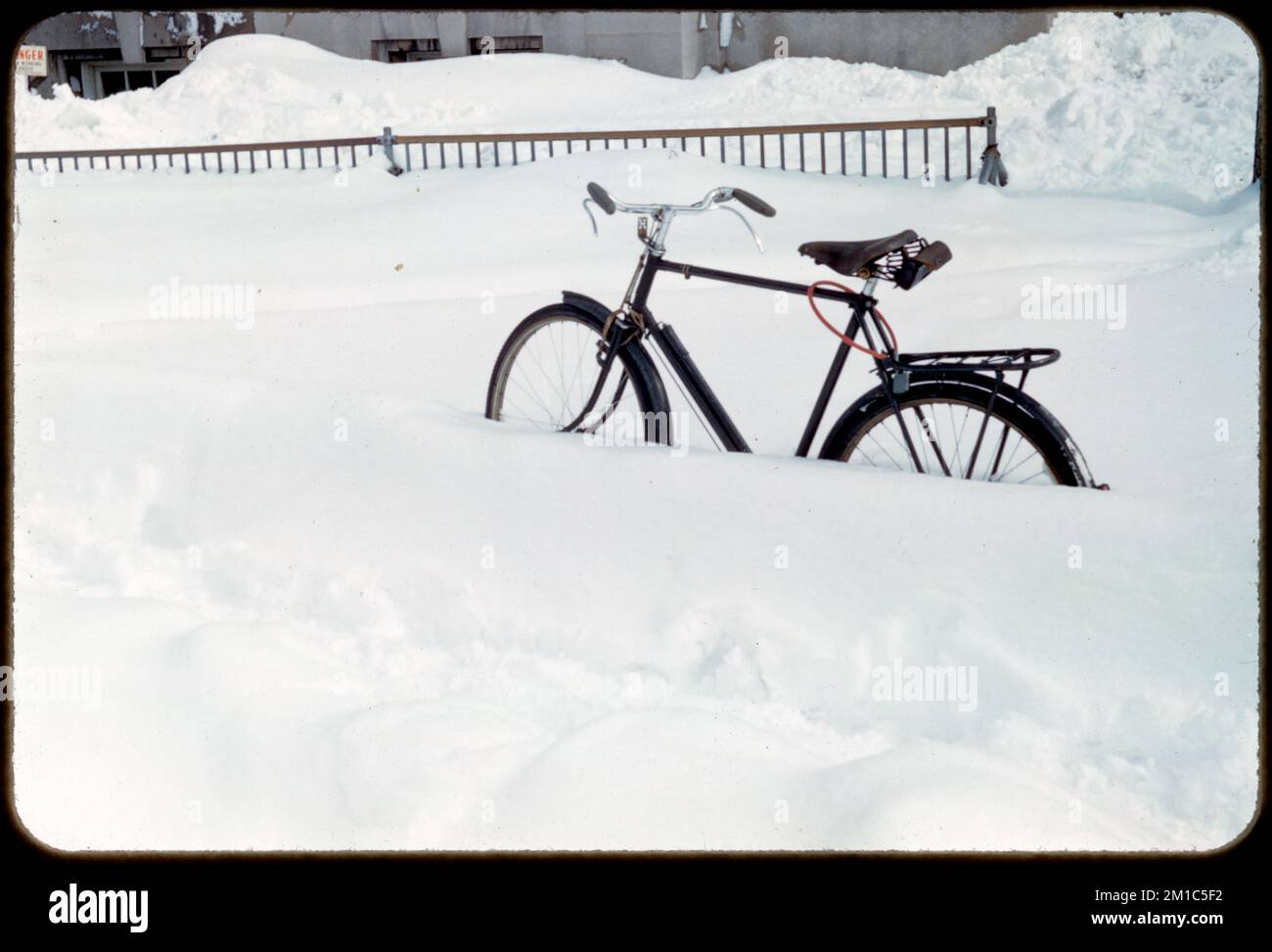 Winter, Harvard College , Snow, Bicycles & tricycles, Universities ...