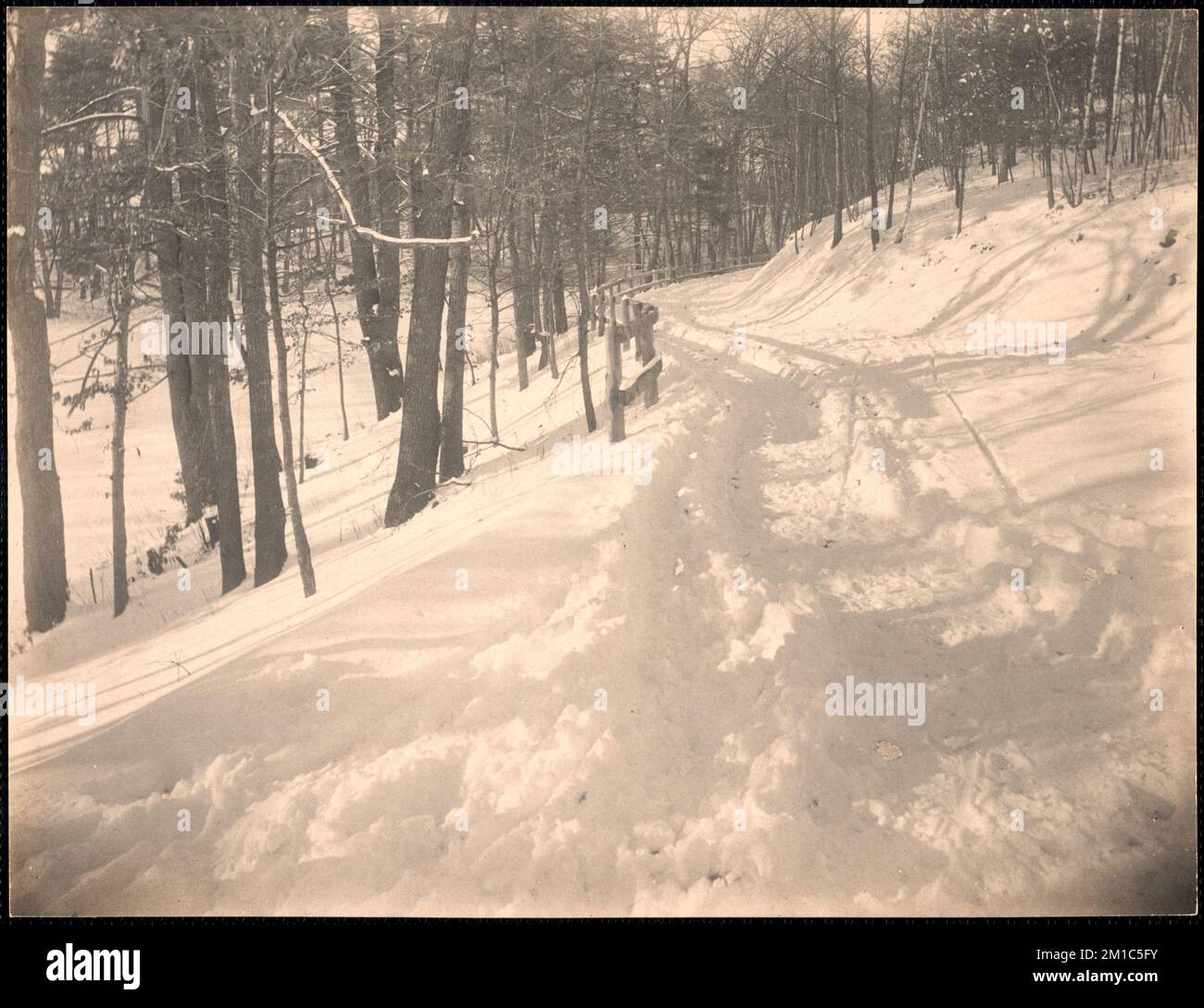 Winter scene , Snow, Roads, Trees. Wayland Free Public Library Cage ...