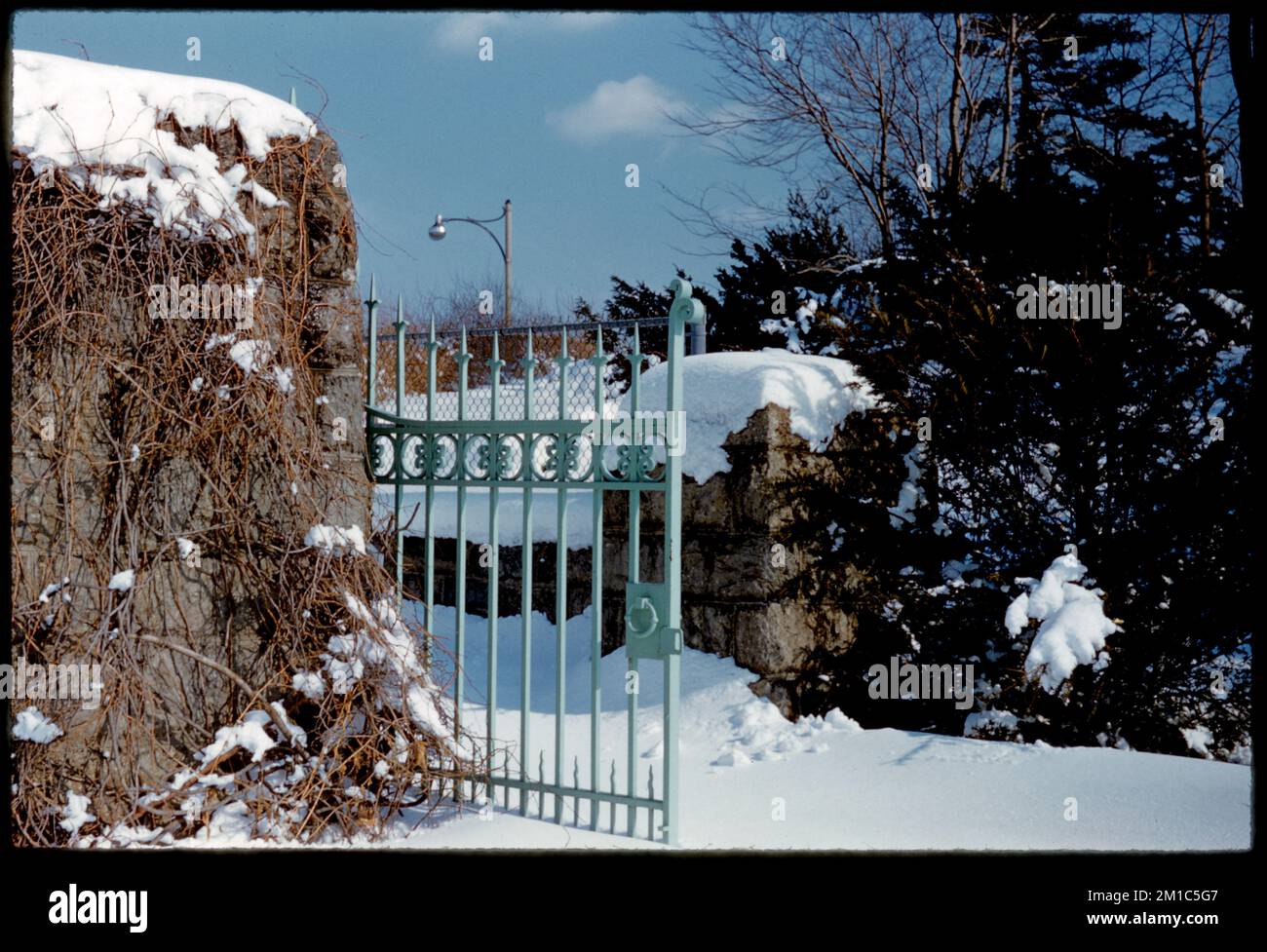 Winter scene of open gate, Arnold Arboretum , Snow, Gates, Botanical ...