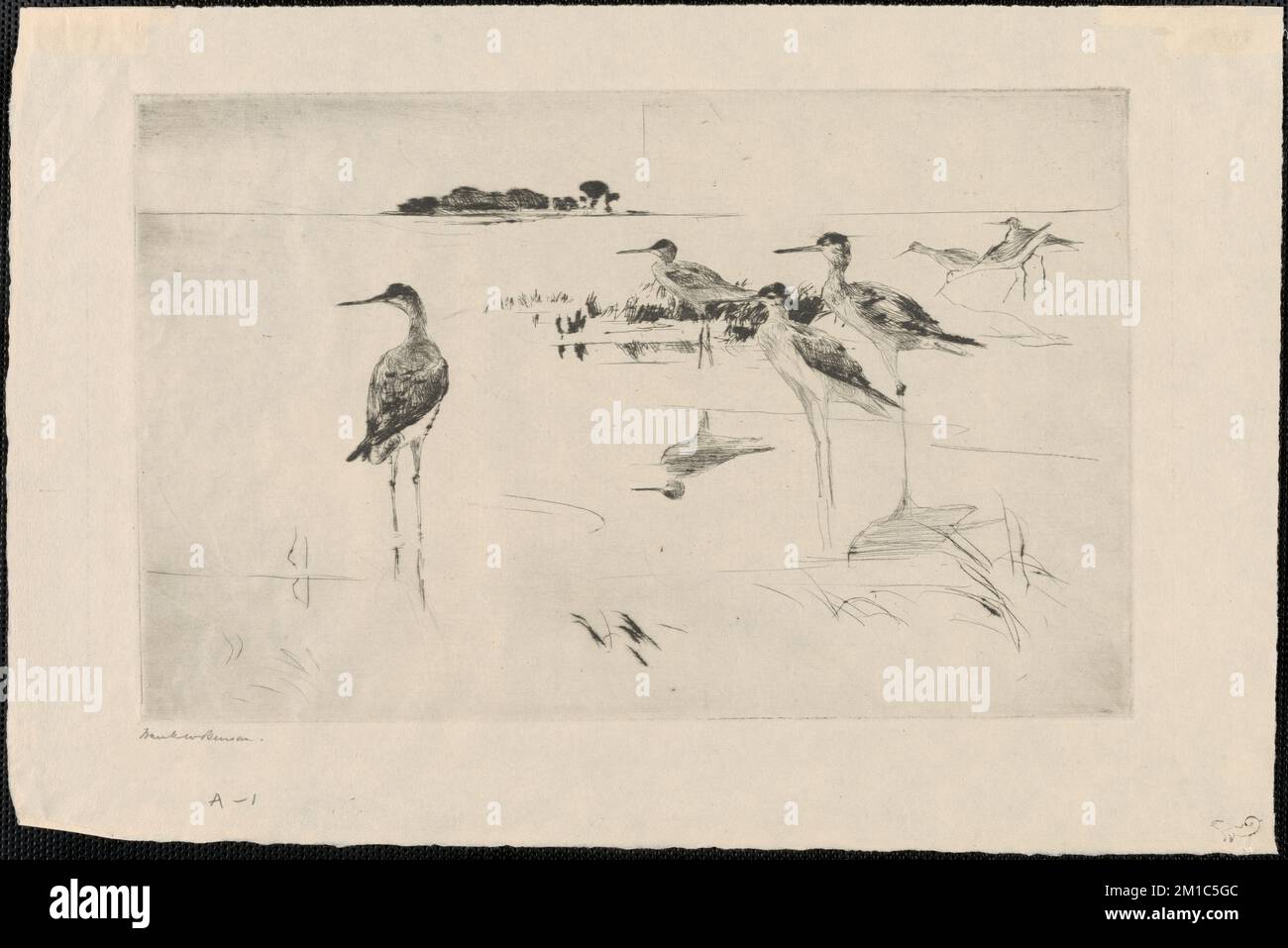Winter yellowlegs , Sandpipers, Bodies of water. Frank W. Benson (1862 ...
