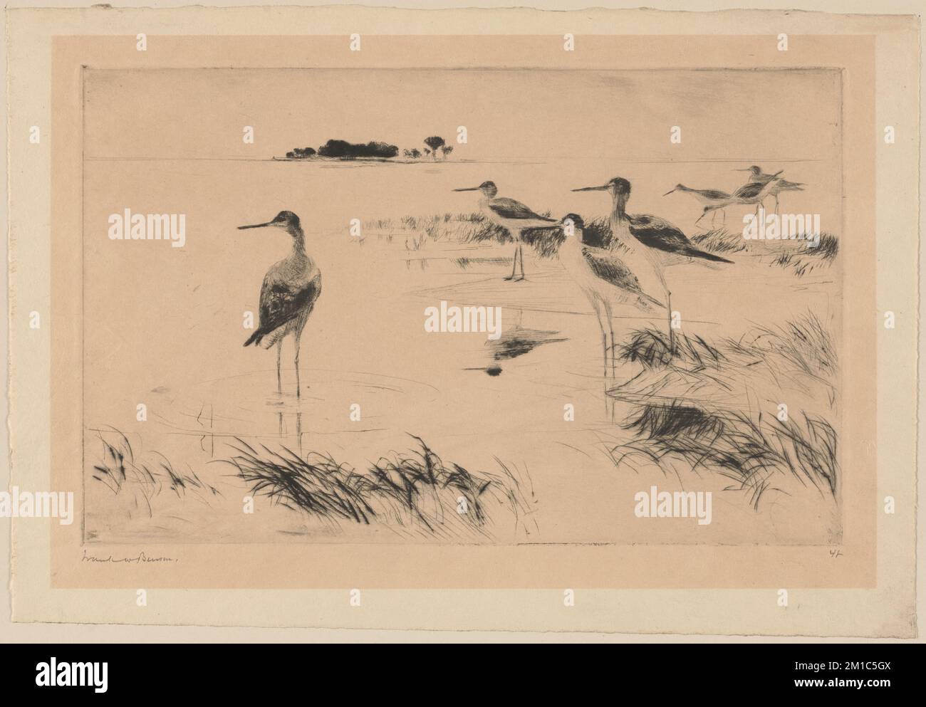 Winter yellowlegs , Sandpipers, Coastlines, Grasses. Frank W. Benson ...