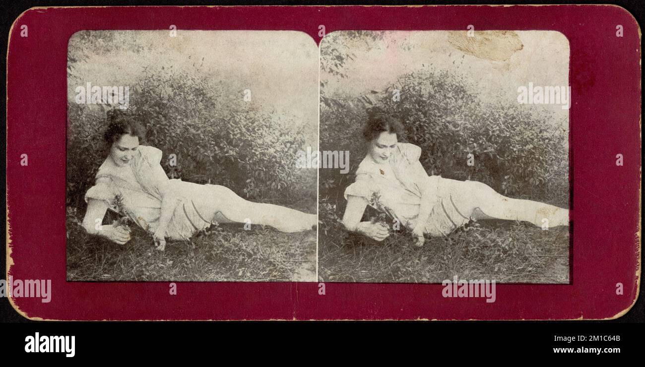 Woman lounging in tall grass , Meadows, Legs Stock Photo - Alamy