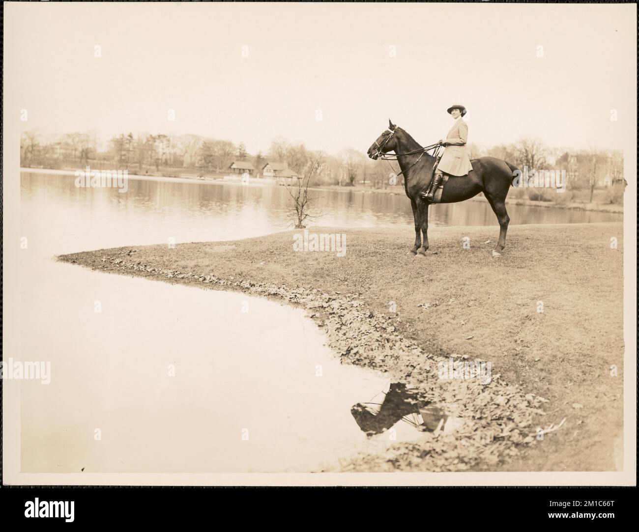 Woman sitting astride a horse by water , Horses, Horseback riding. Leon ...