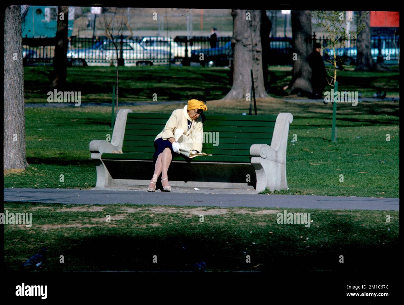 Boston common park bench hi-res stock photography and images - Alamy