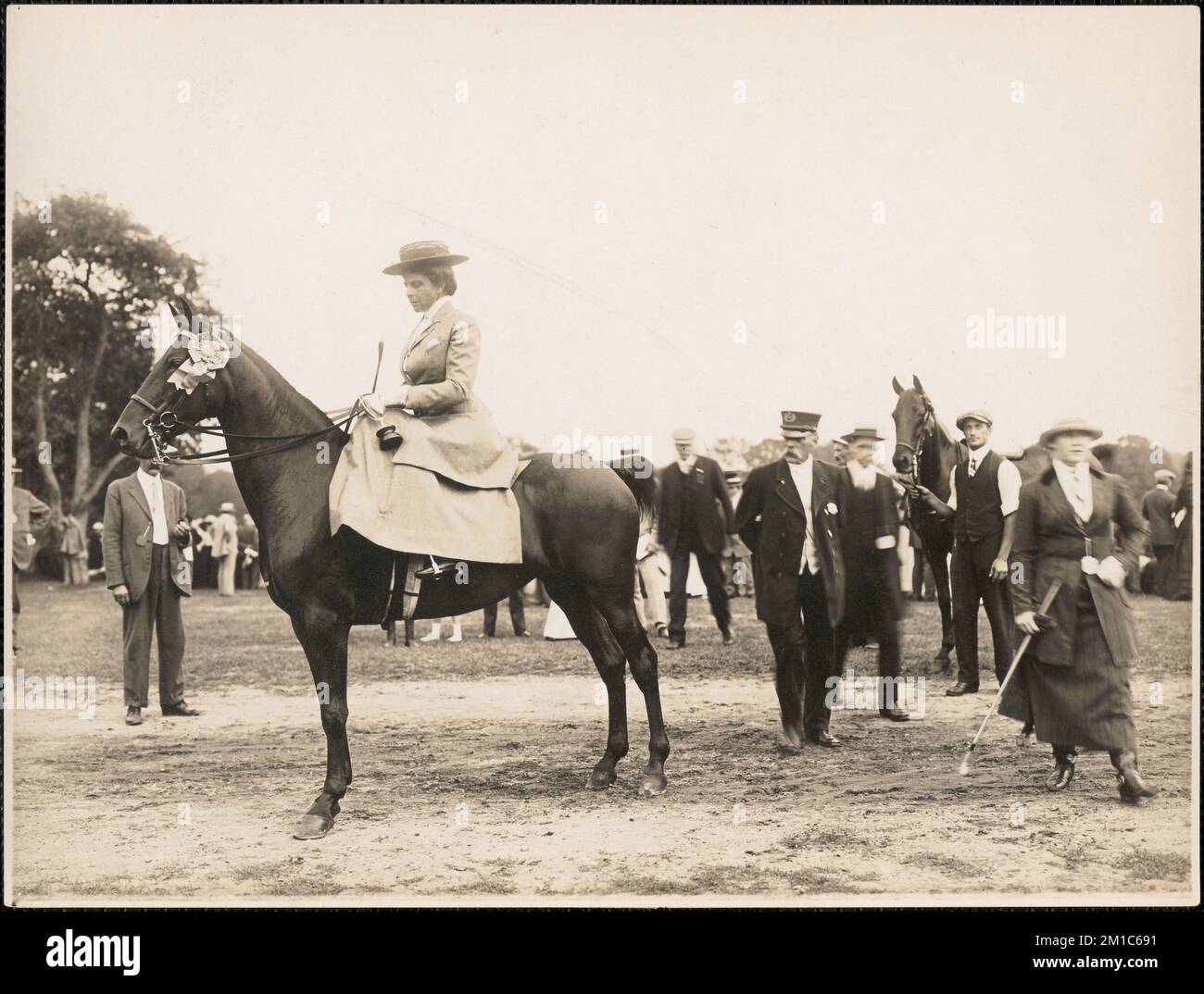 Woman sitting astride a horse in front of a group of people , Horses ...