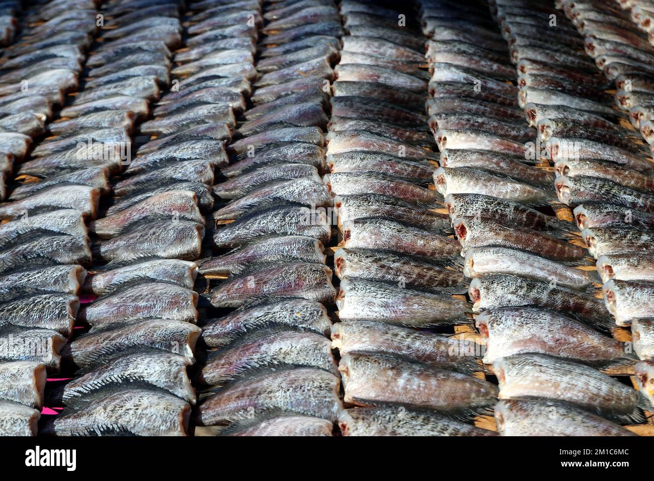 Basket dried salted fish hi-res stock photography and images - Alamy