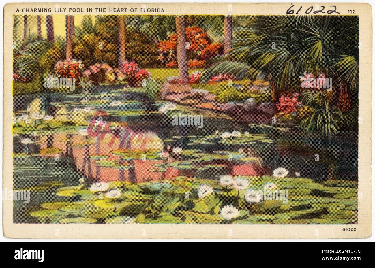 The lily pool Cut Out Stock Images & Pictures - Alamy
