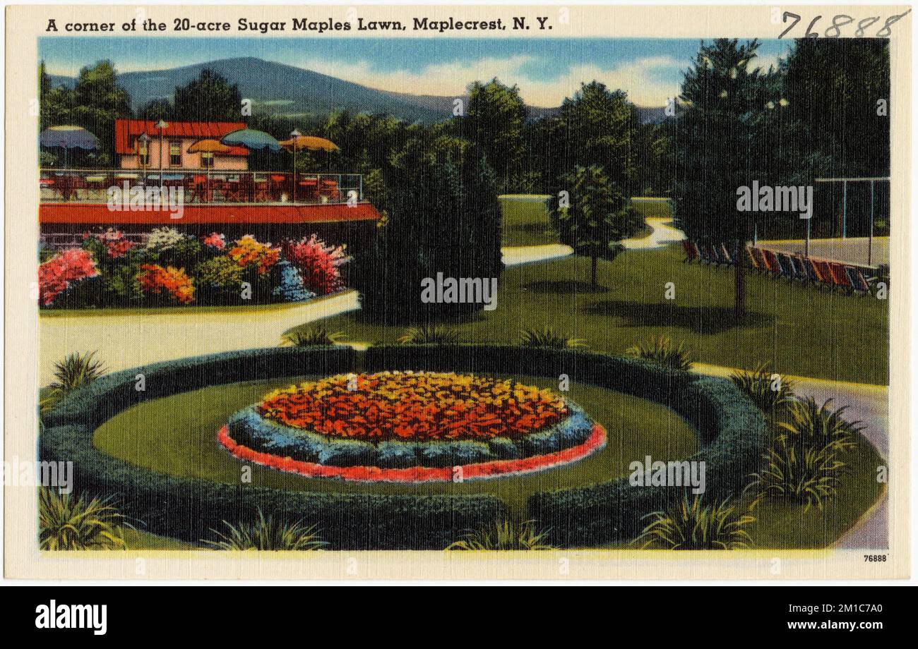 A corner of the 20-acre Sugar Maples Lawn, Maplecrest, N. Y. , Tichnor ...