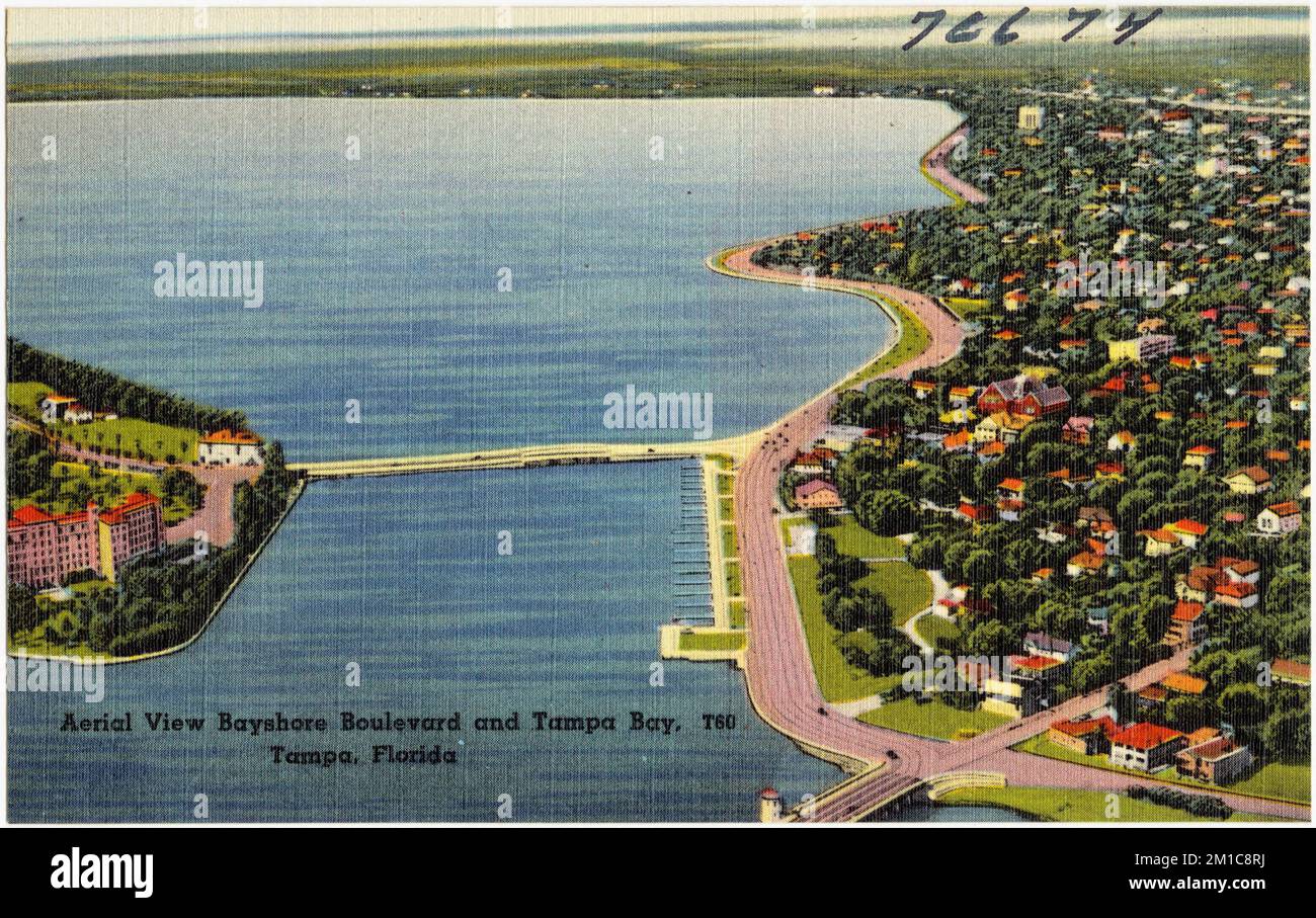 Aerial view Bayshore Boulevard and Tampa Bay, Tampa, Florida , Bridges ...
