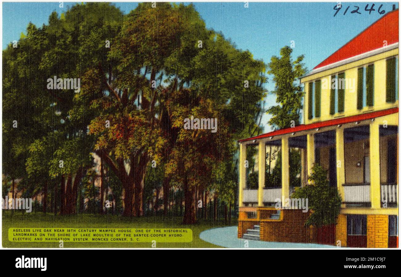 Ageless Live Oak near 18th Century Wampee House, one of the historical ...