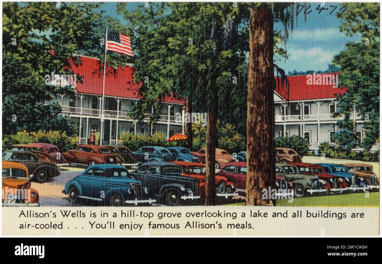 Allison's Wells is a hill-top grove overlooking a lake and all ...