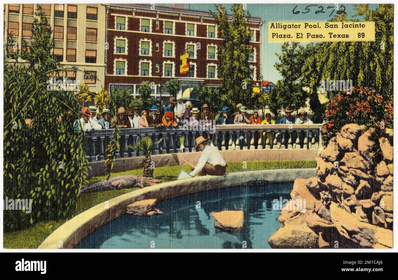 Alligator Pool, San Jacinto Plaza, El Paso, Texas, 89 , Tichnor ...