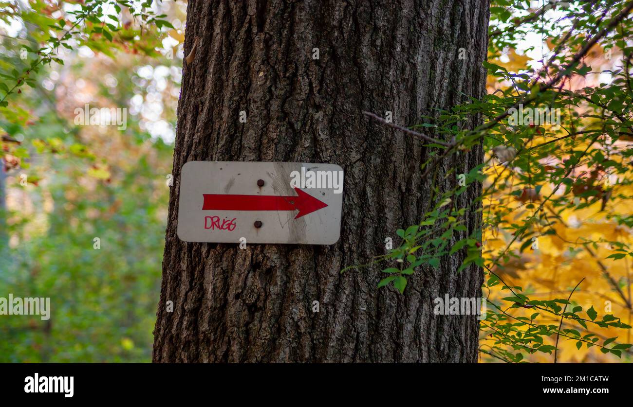 Issue newton hi-res stock photography and images - Alamy