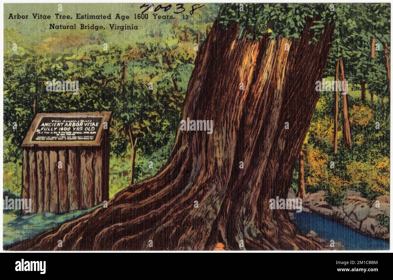 1600 years hi-res stock photography and images - Alamy