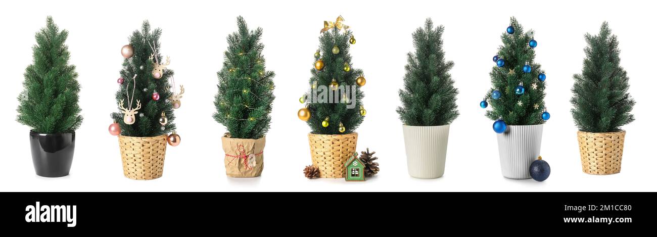 Trees decorated christmas in Cut Out Stock Images & Pictures - Alamy