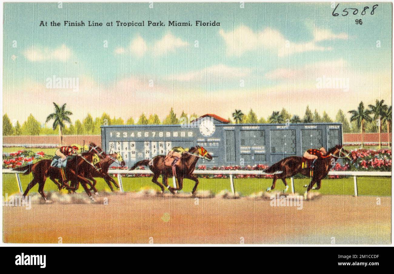 At the finish line at Tropical Park, Miami, Florida , Sports ...