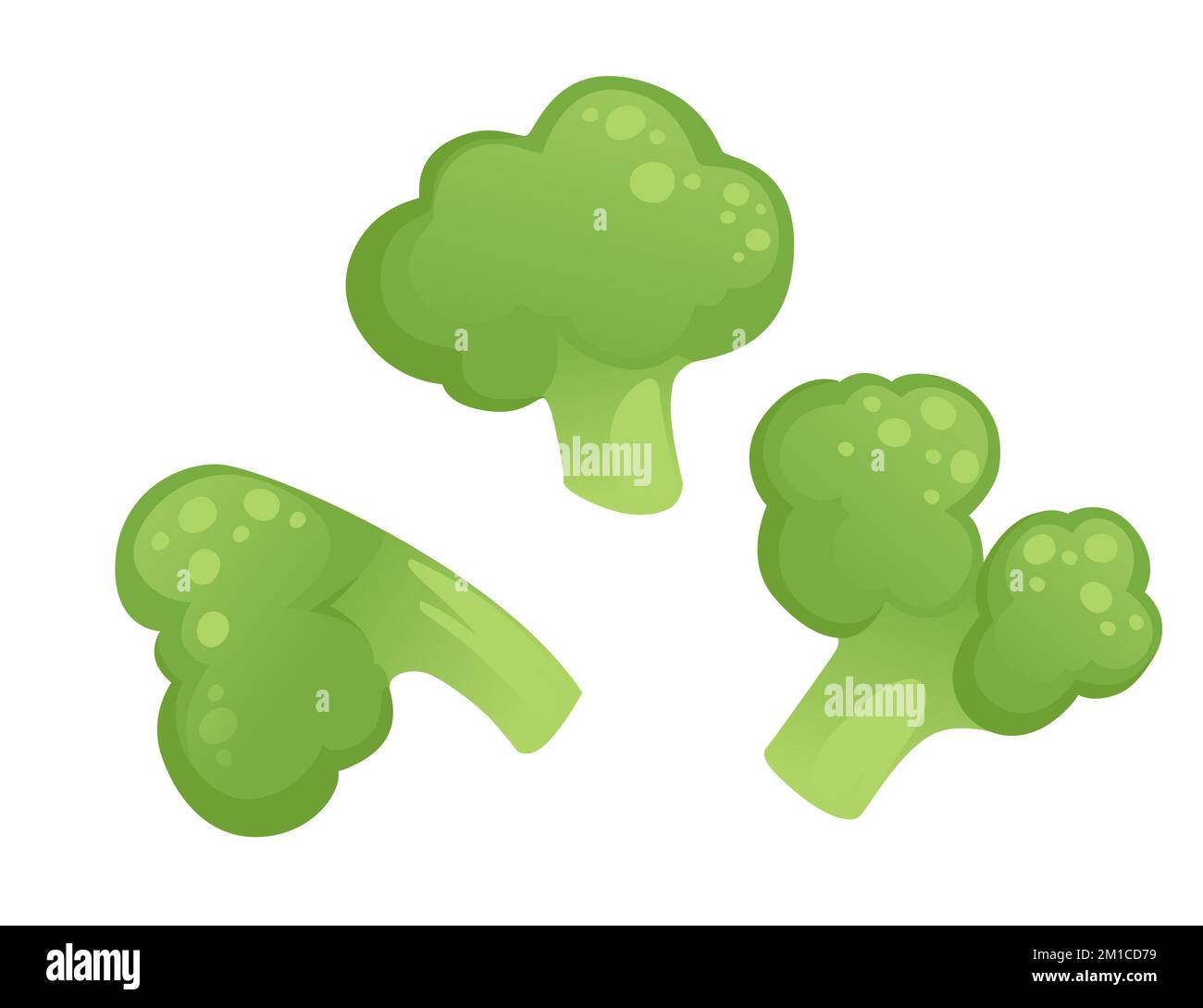 Bright green colored broccoli vegetable fresh healthy food vector ...