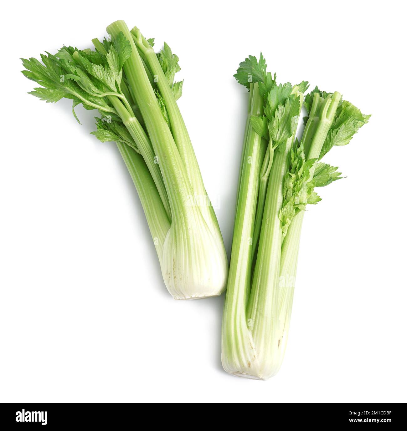 Fresh green celery isolated on white background Stock Photo - Alamy