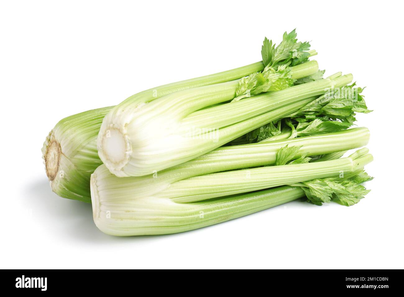 Fresh green celery isolated on white background Stock Photo - Alamy