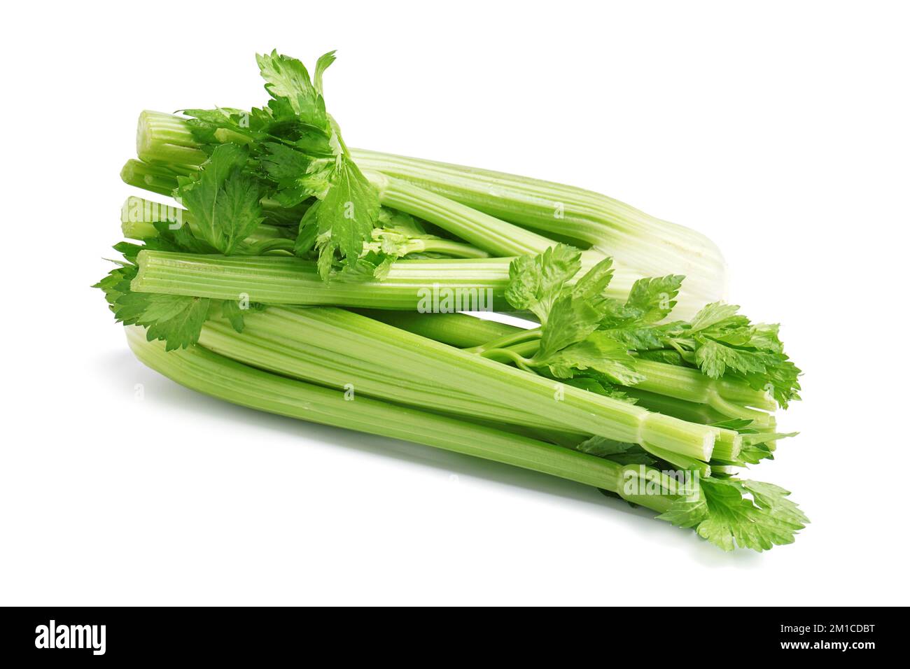 Fresh green celery isolated on white background Stock Photo - Alamy