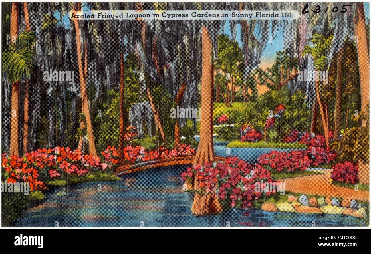 Azalea fringed lagoon in cypress gardens in sunny Florida , Tichnor ...