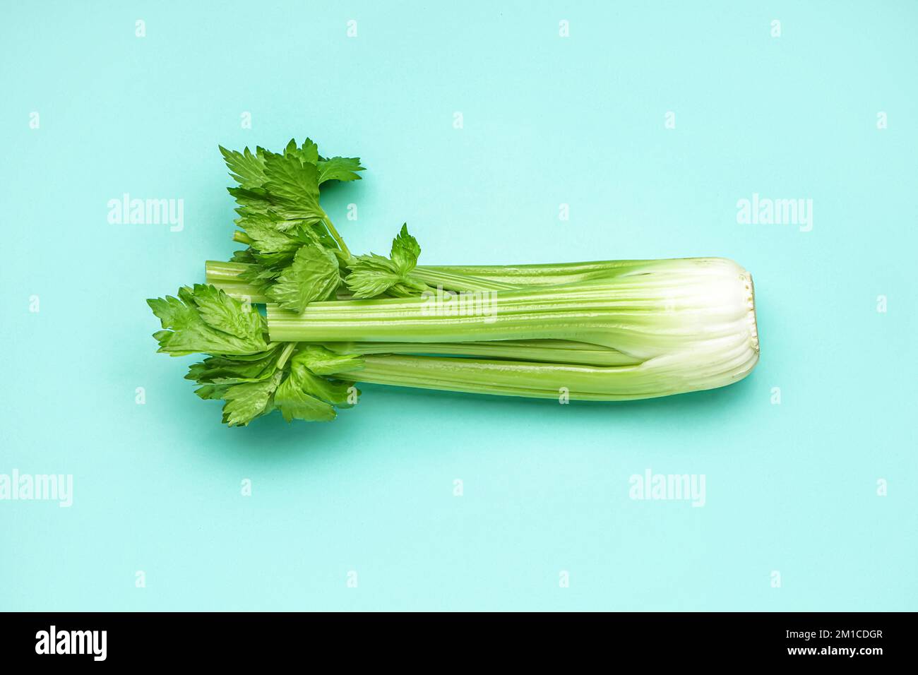 Bunch of fresh celery on color background Stock Photo - Alamy