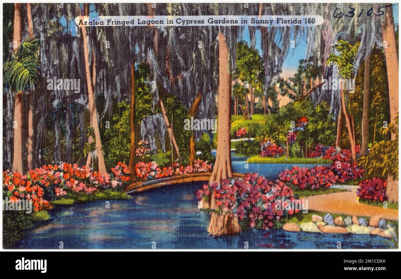 Azalea fringed lagoon in cypress gardens in sunny Florida , Tichnor ...