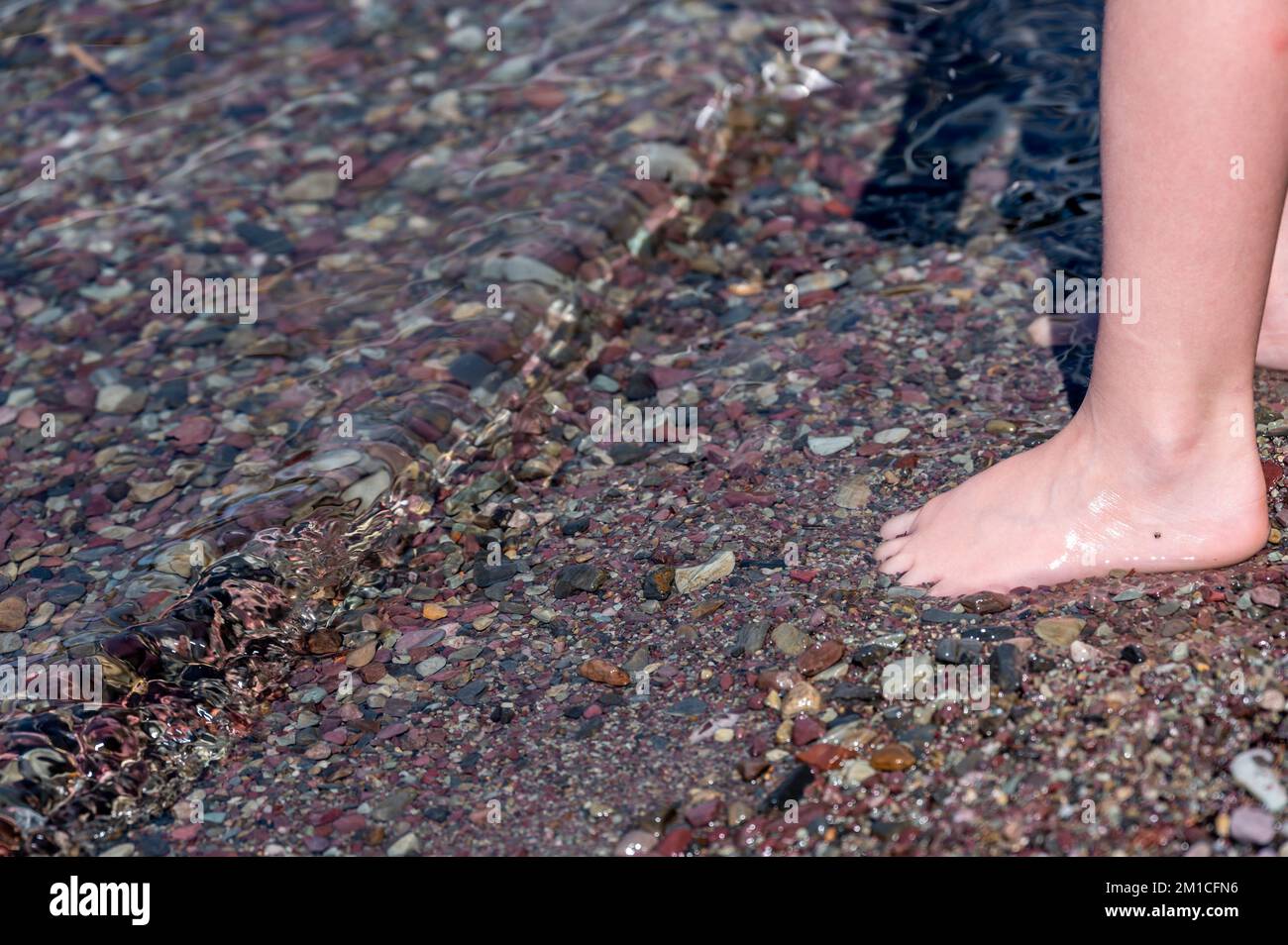 Barefoot toes in Rainbow multi-colored rocks in Avalanche creek leading ...