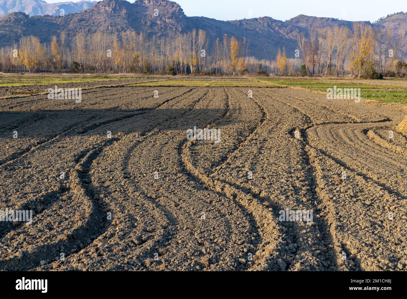 Empty fields plowed with a tractor after harvested the crops Stock ...