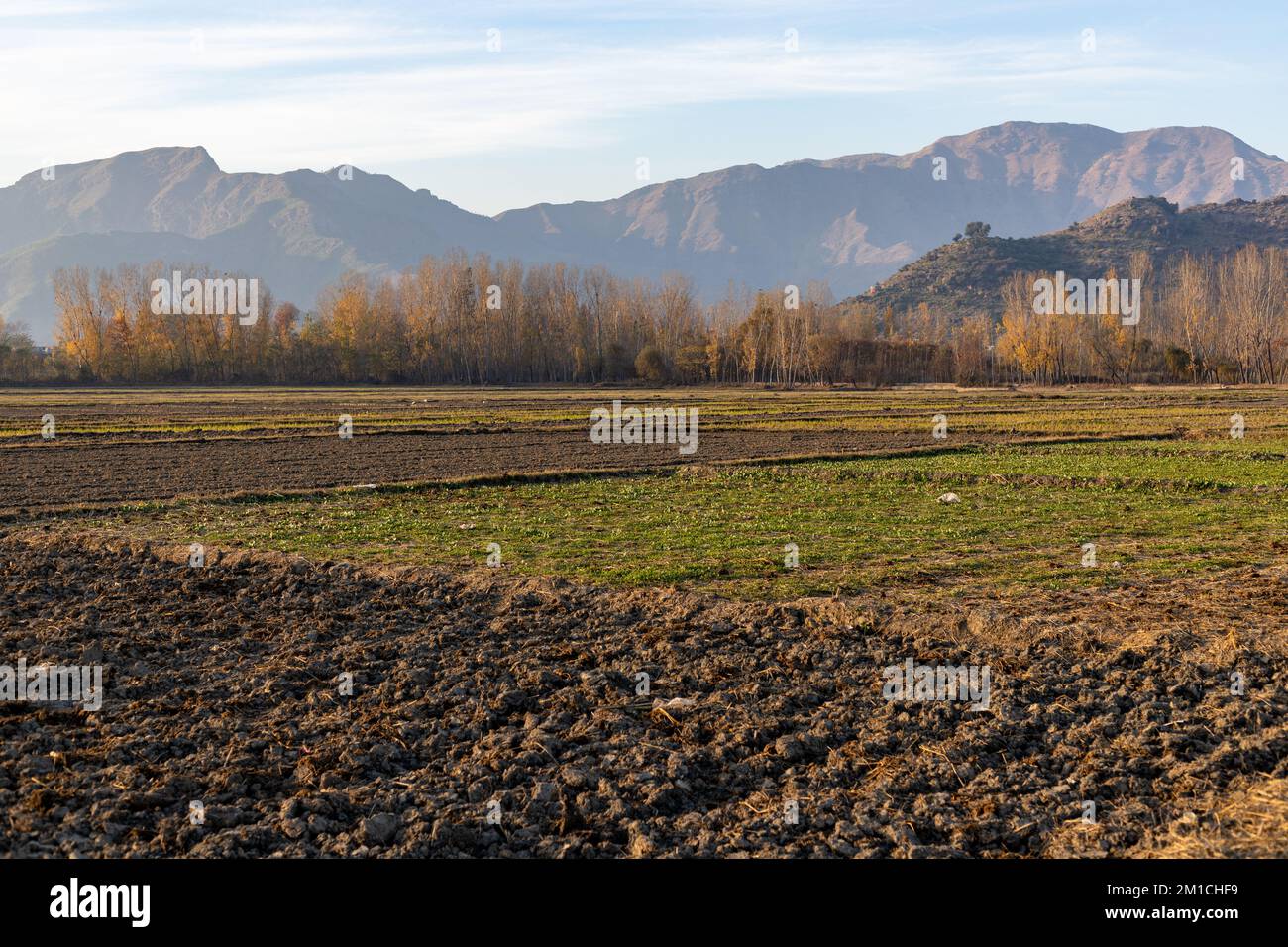 Freshly plowed agricultural fields hi-res stock photography and images ...