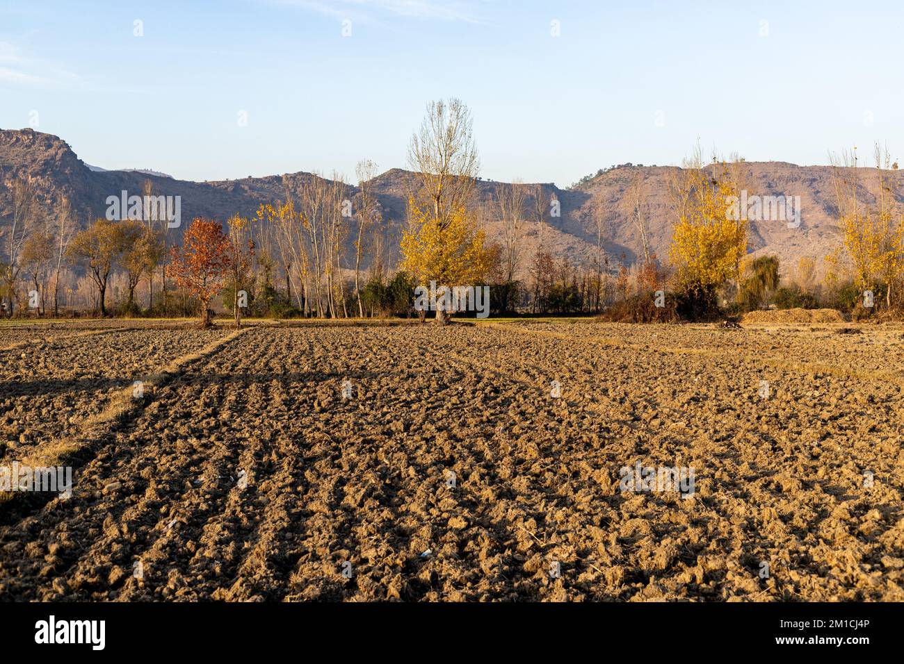 Empty plowed field after the harvest in the swat valley of Pakistan ...