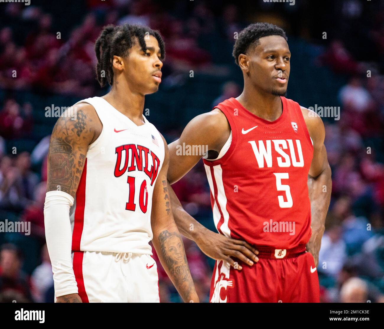 2022 0884 jpg hi-res stock photography and images - Alamy