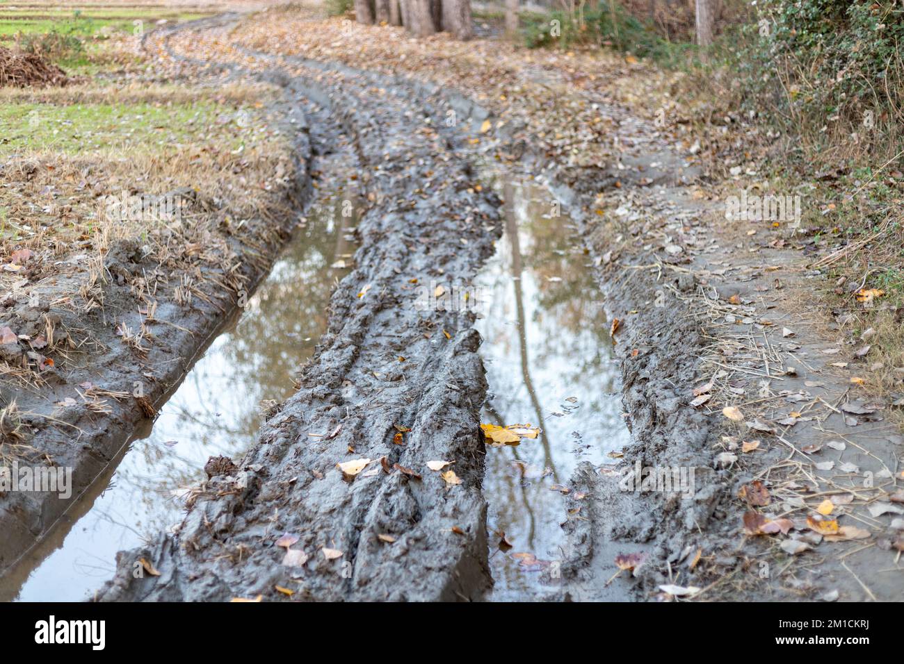 Wheel off-road track in a countryside landscape with a muddy road in ...