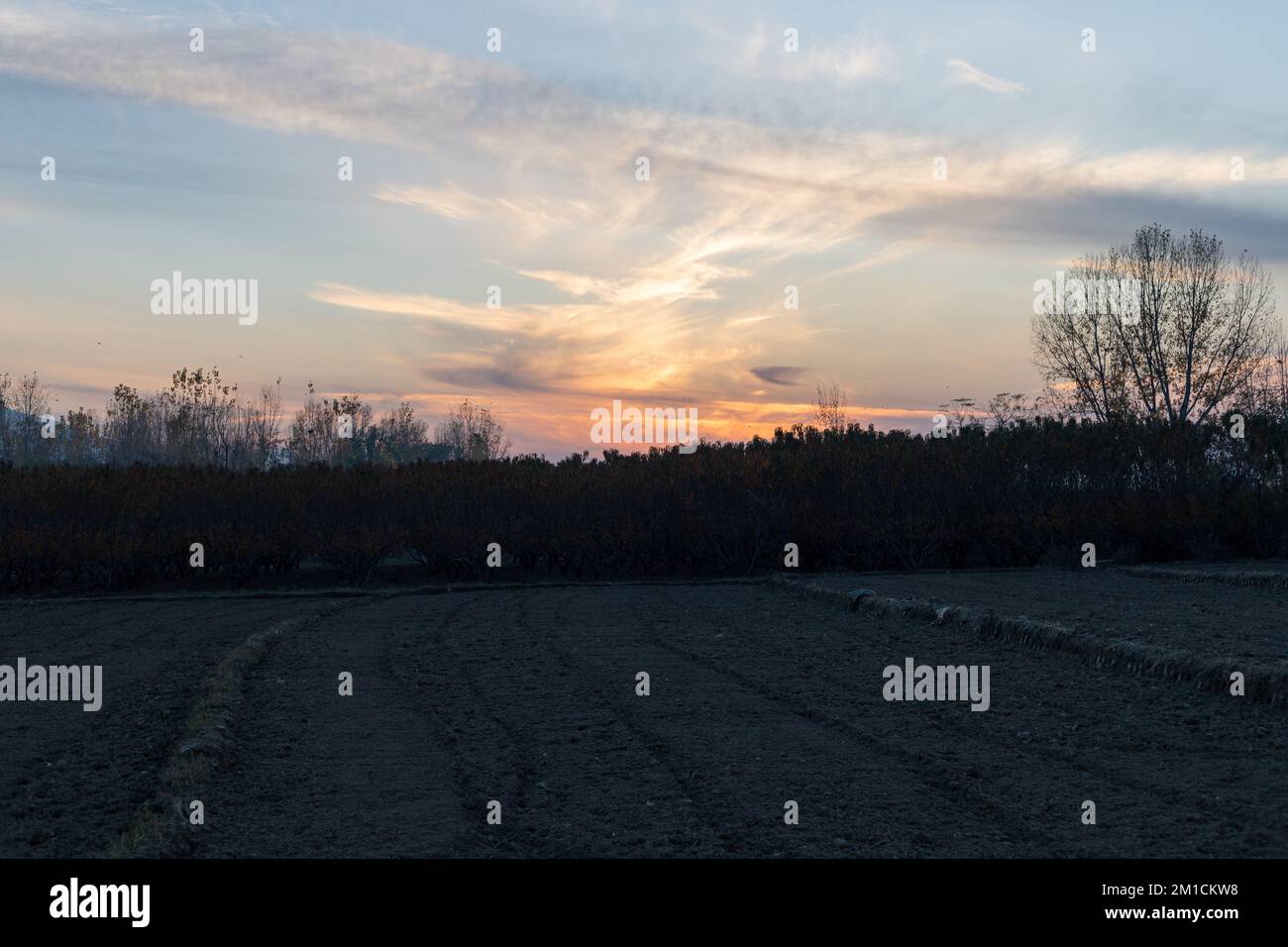 Golden autumn orchard hi-res stock photography and images - Alamy