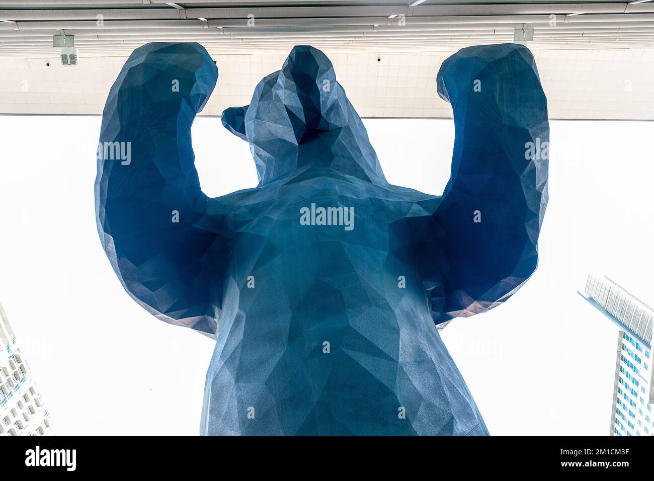 Blue bear hi-res stock photography and images - Alamy