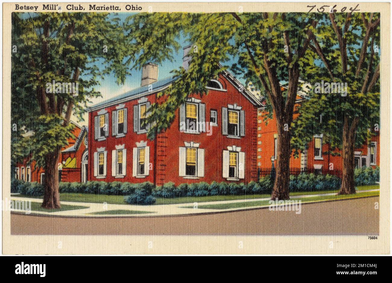 Organizations architecture organizations Cut Out Stock Images ...