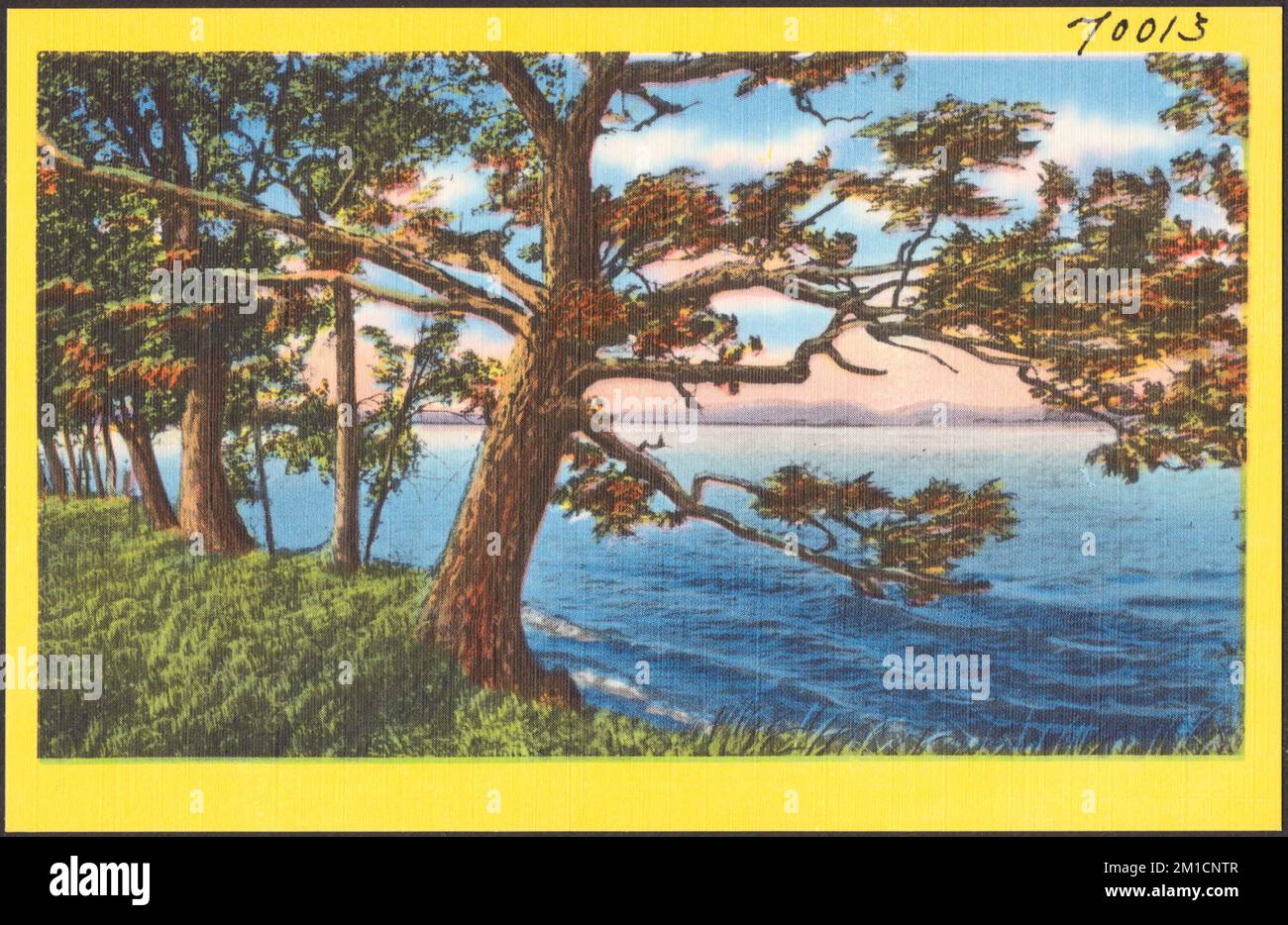 Body of water seen through trees , Bodies of water, Trees, Tichnor ...
