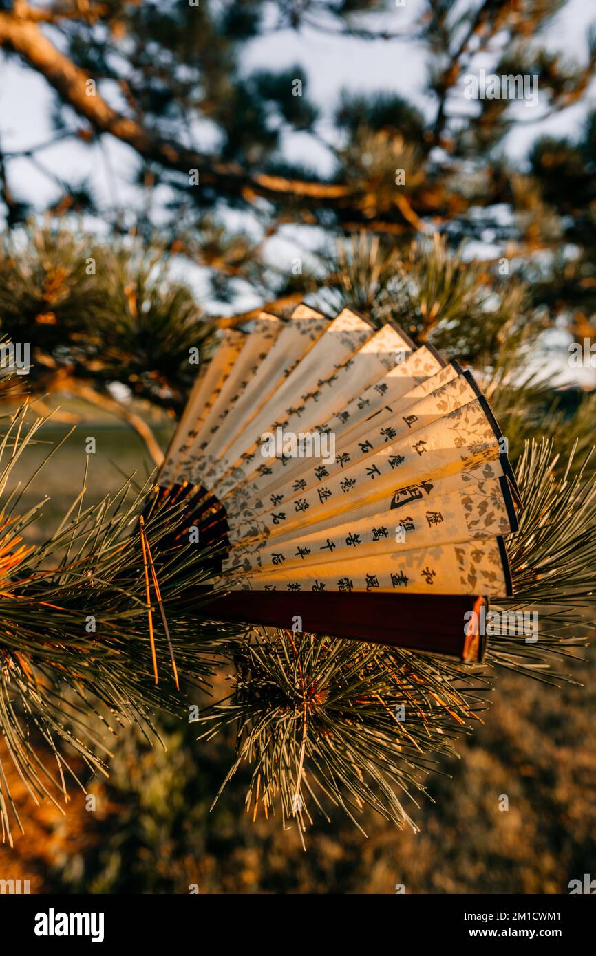 A Folding Hand Fan Chinese on grass field at sunset Stock Photo - Alamy