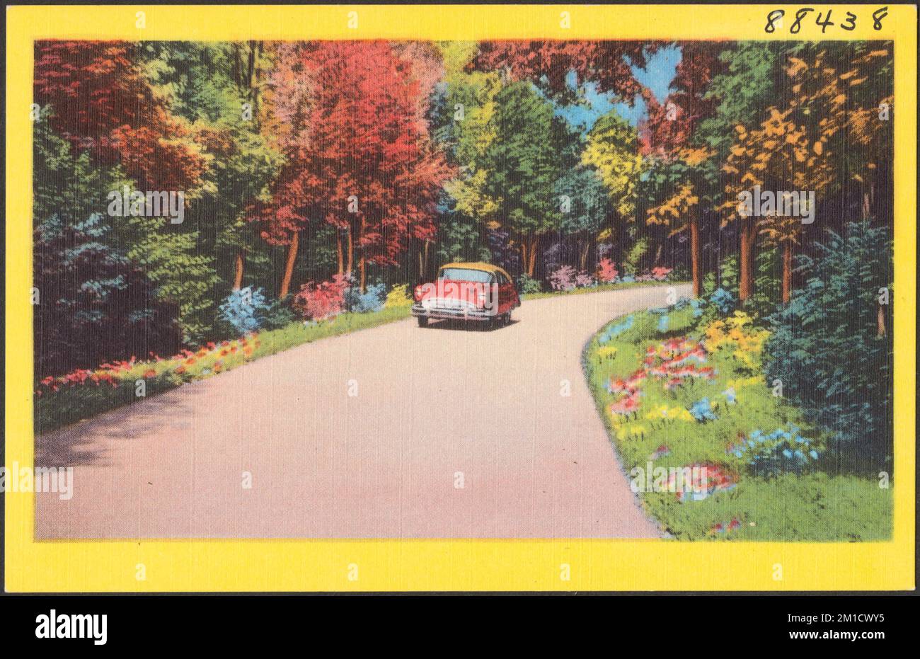 Car driving down a tree-lined road , Automobiles, Roads, Trees, Tichnor ...